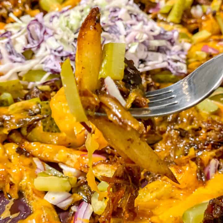 Loaded Pulled Pork Fries - Aqueena The Kitchen