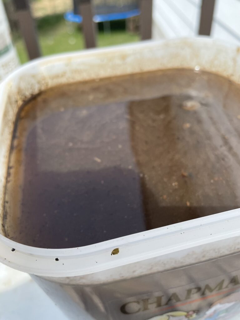 How to Clean a Traeger Grill - Aqueena The Kitchen